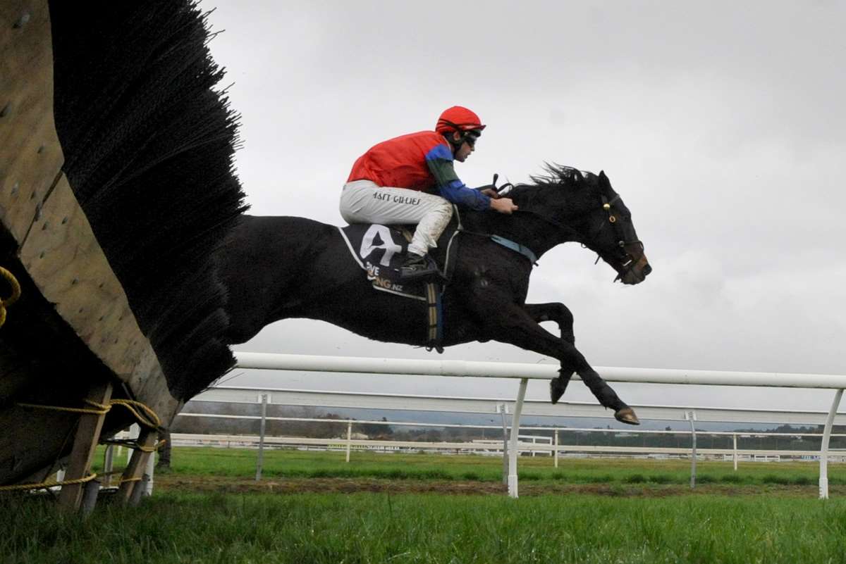 | New Zealand Thoroughbred Racehorse Owners Federation