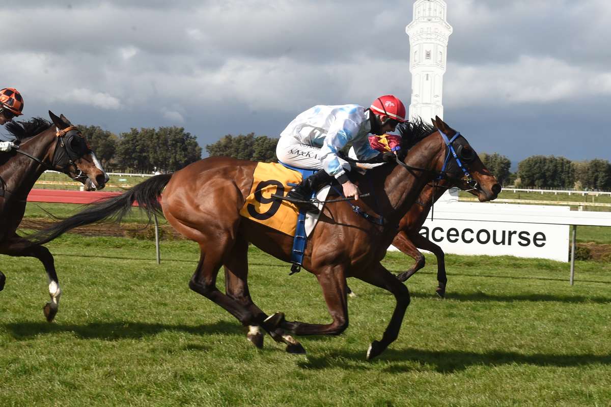| New Zealand Thoroughbred Racehorse Owners Federation