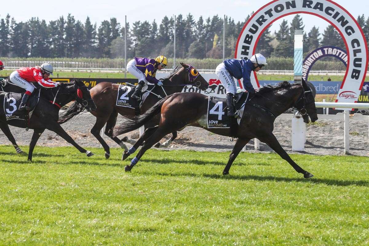 | New Zealand Thoroughbred Racehorse Owners Federation