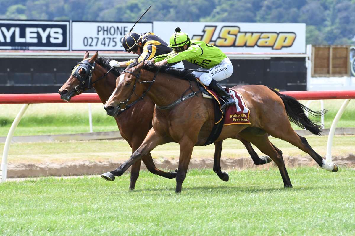 | New Zealand Thoroughbred Racehorse Owners Federation