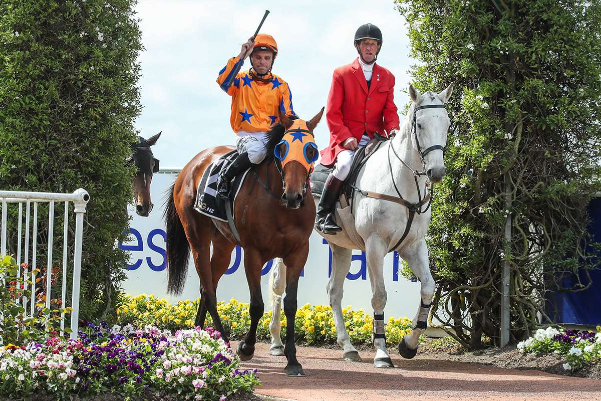 | New Zealand Thoroughbred Racehorse Owners Federation