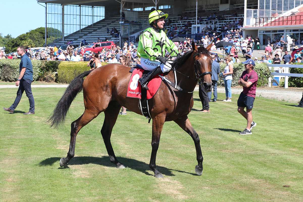 | New Zealand Thoroughbred Racehorse Owners Federation