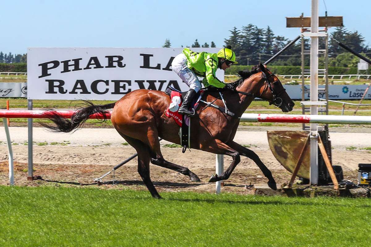 Winners’ Gallery | New Zealand Thoroughbred Racehorse Owners Federation