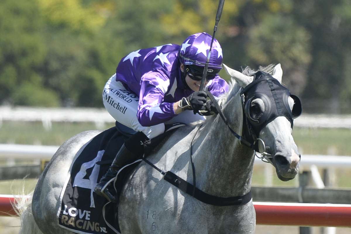 | New Zealand Thoroughbred Racehorse Owners Federation