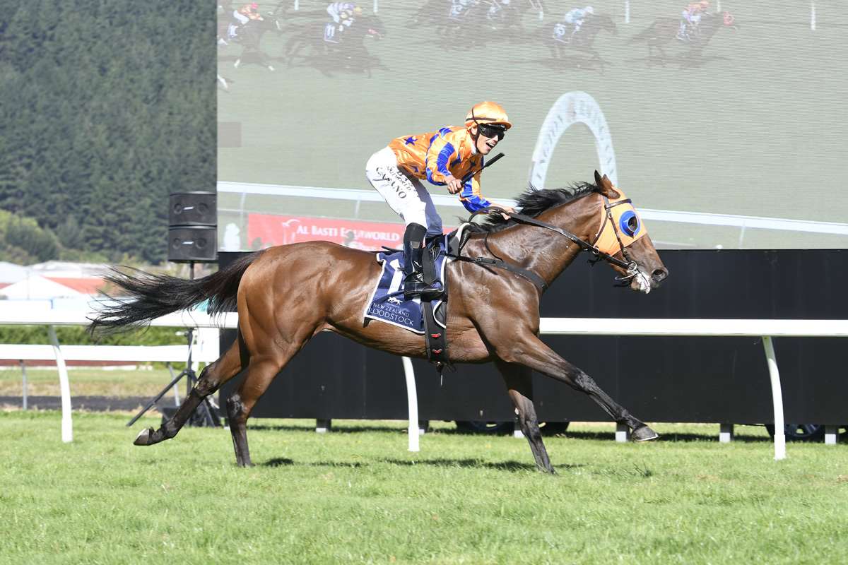 Winners’ Gallery | New Zealand Thoroughbred Racehorse Owners Federation